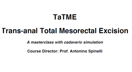 TaTME – Trans-anal Total Mesorectal Excision – 2018 | Siccr - Società ...